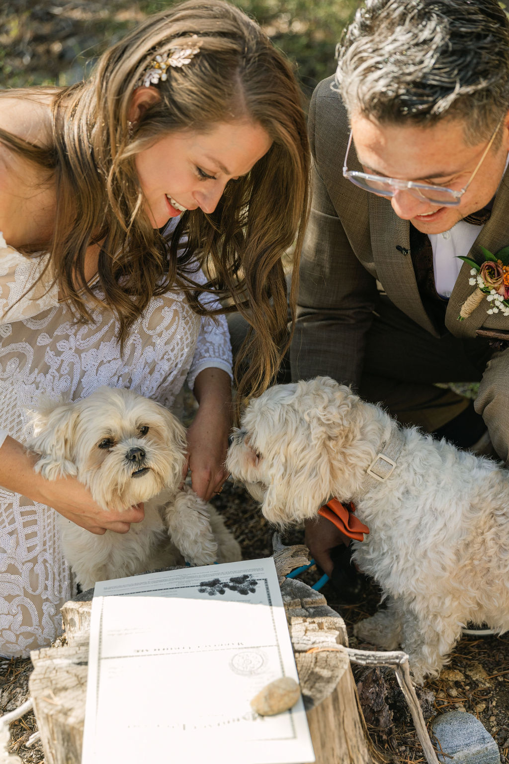 How To Get A Colorado Marriage License: Can Our Dog Sign It?