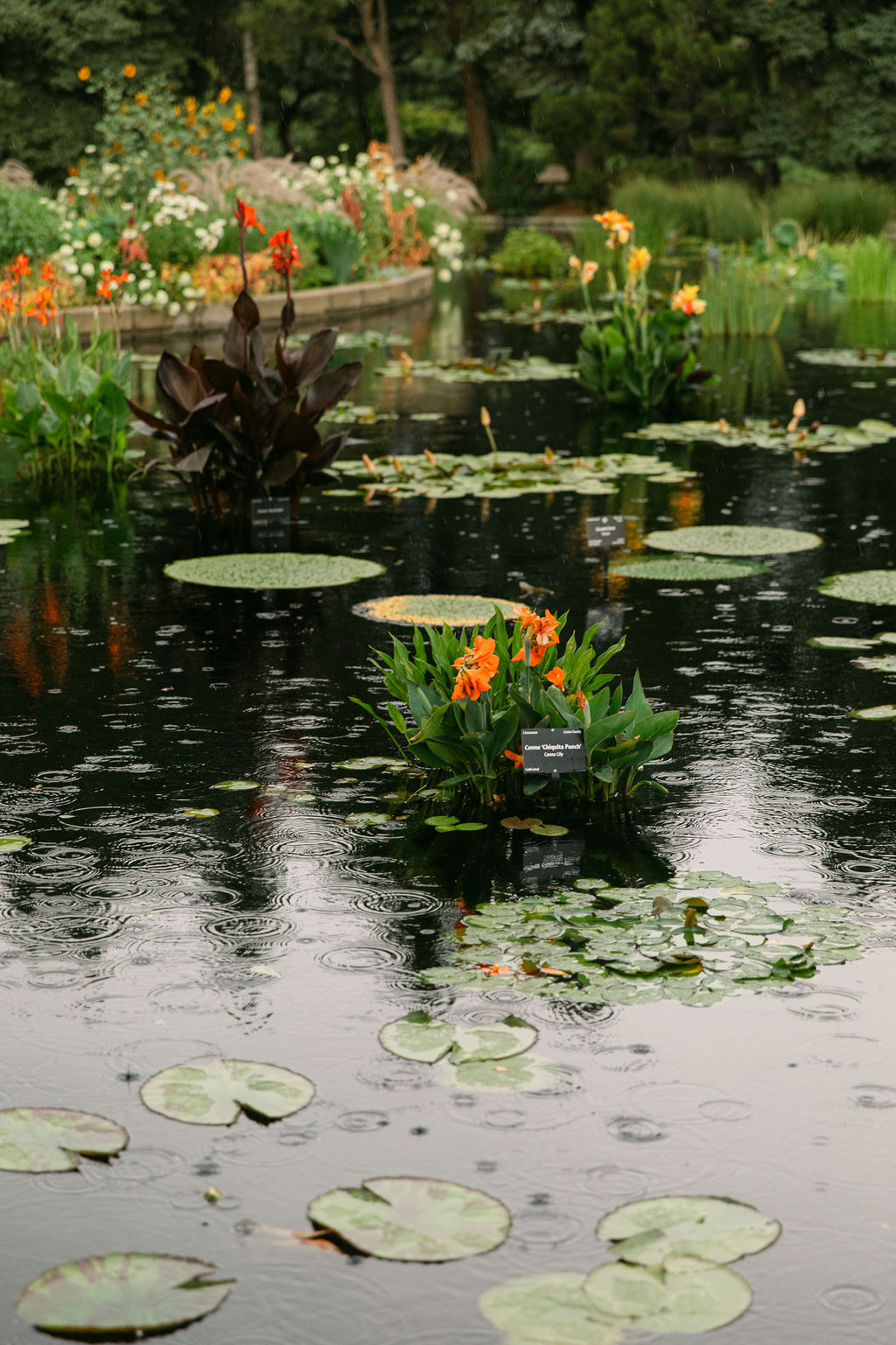 Denver Botanic Gardens Engagement Photos: Rainy Day Romance